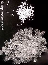 Water Management Gel - TopTropicals.com