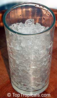 Water Management Gel - TopTropicals.com