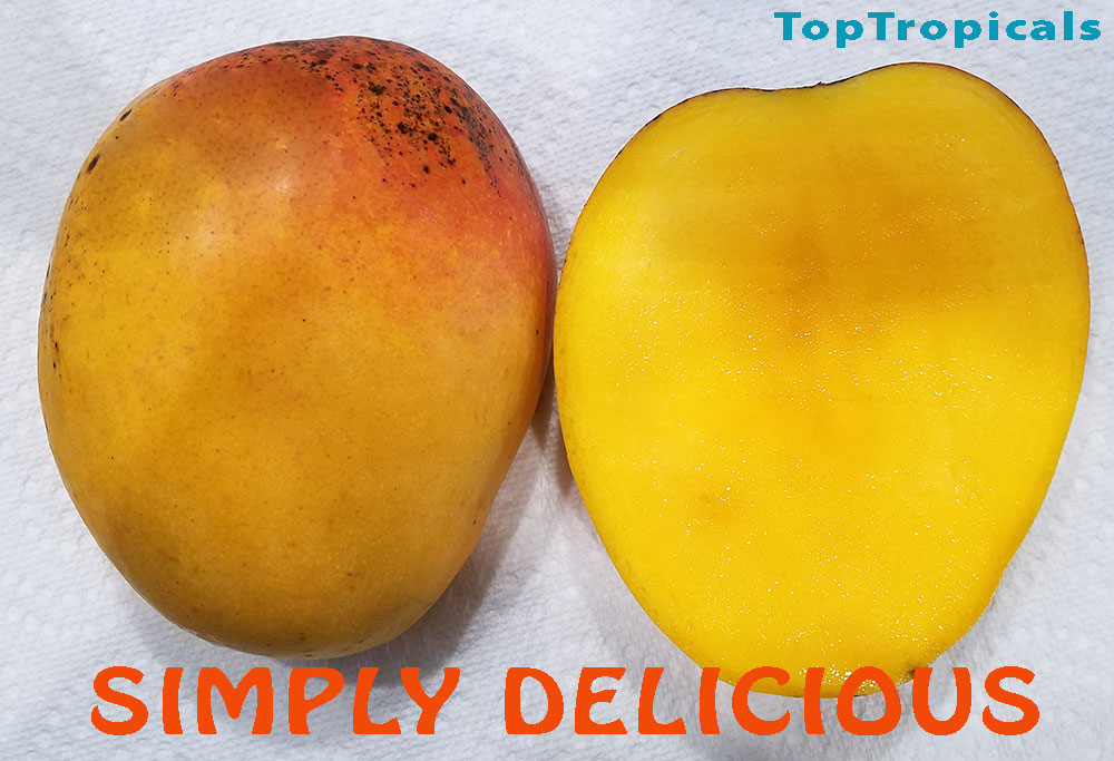 TopTropicals most recent newsletter