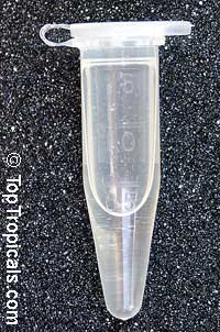 FEROVIT: Plant Iron Supplement - TopTropicals.com